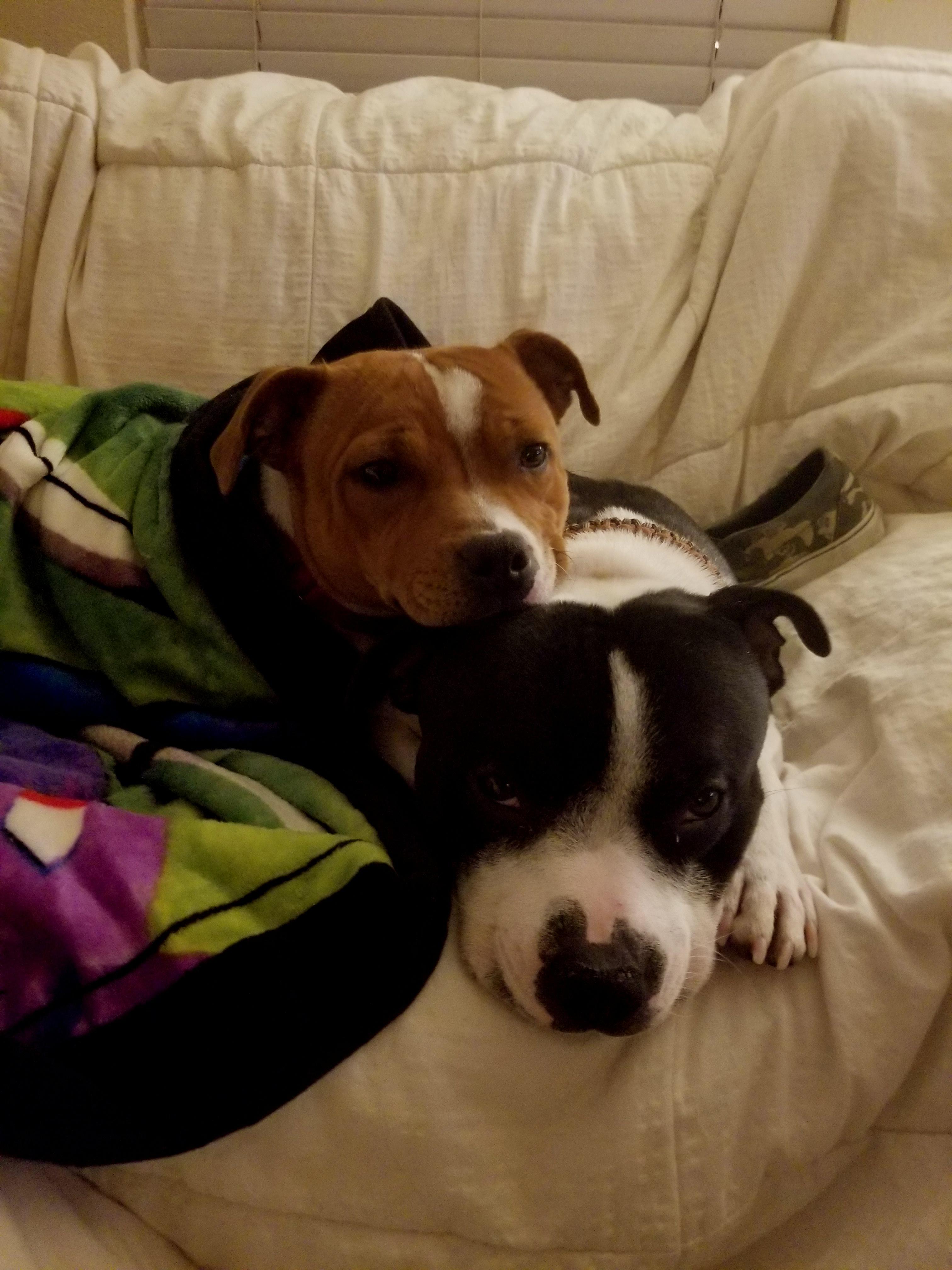 We're making progress... | Scrolller