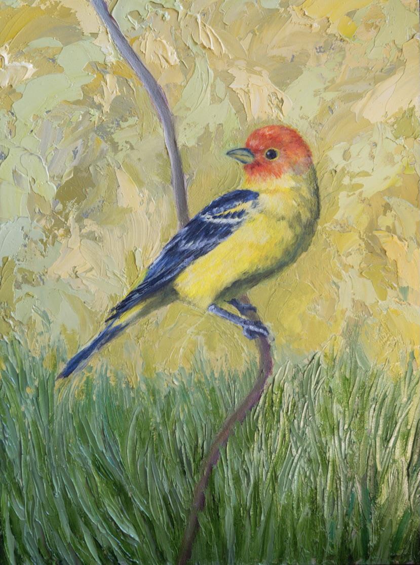 Western Tanager, Me, Oil on Wood, 2021 | Scrolller