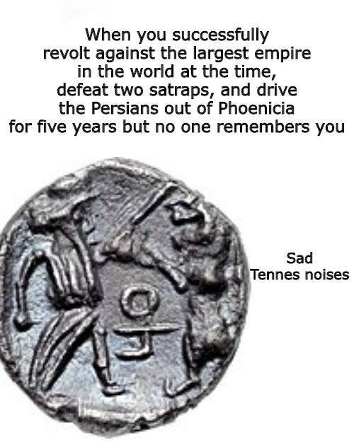 What a Chad | Scrolller