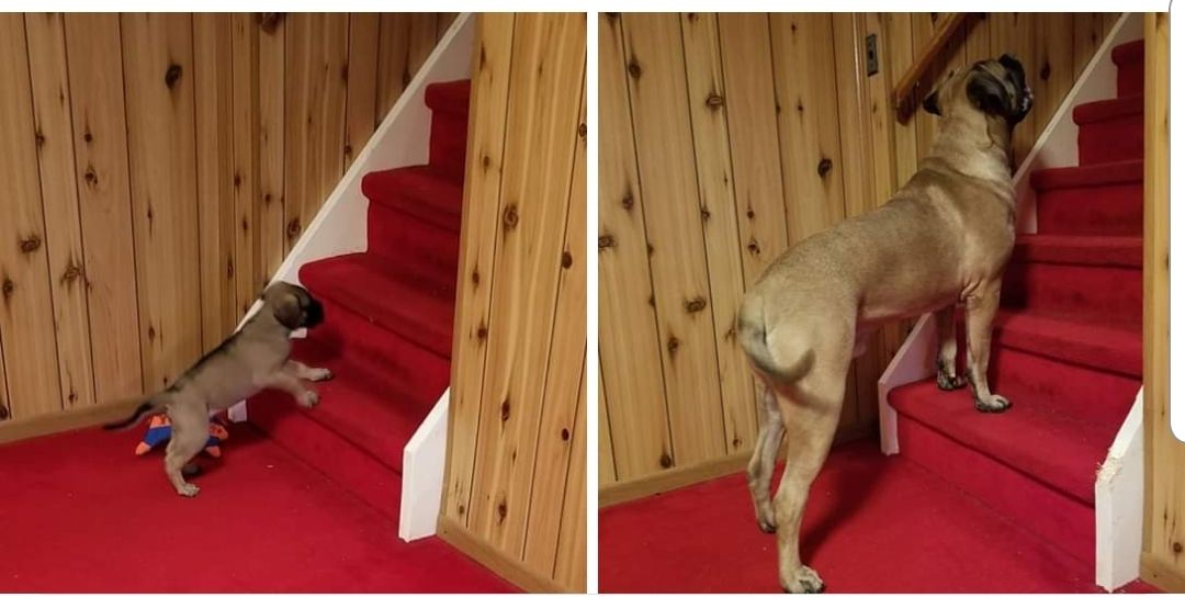 What a difference a year can make | Scrolller