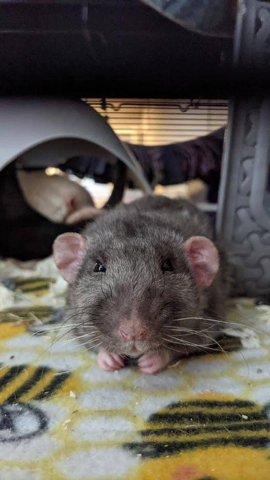 what a gosh darn handsome model | Scrolller