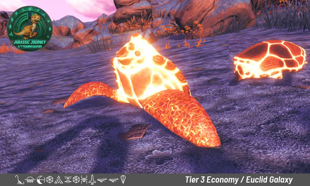 What a lava-ly turtle! ️🔥 | Scrolller