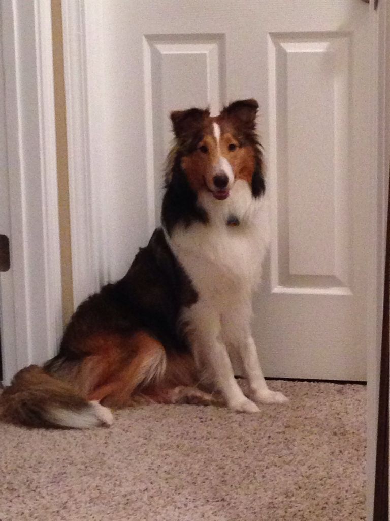 What a stud | Scrolller