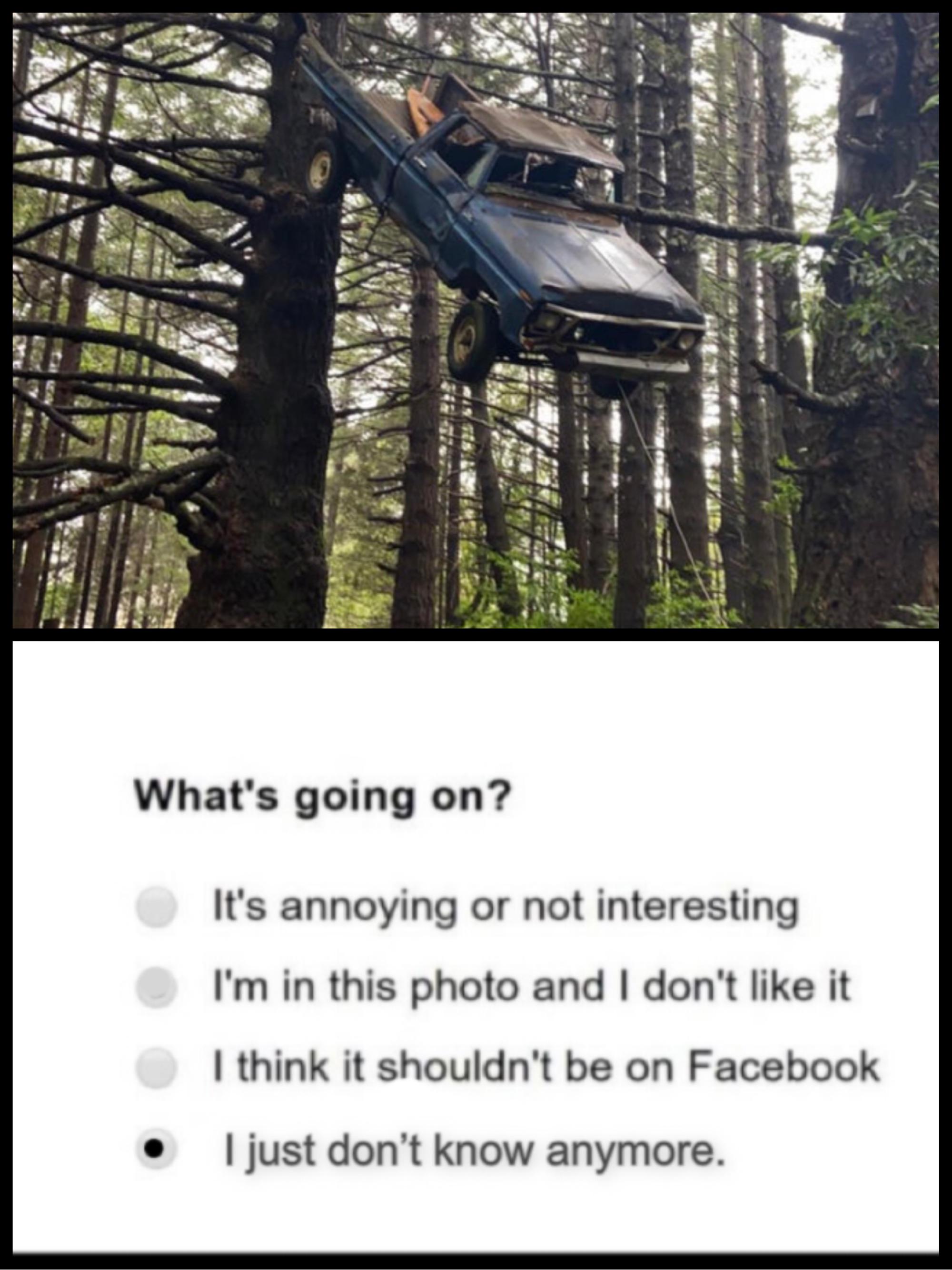 What came first the tree or the truck? | Scrolller