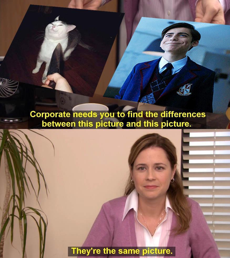 What difference? | Scrolller