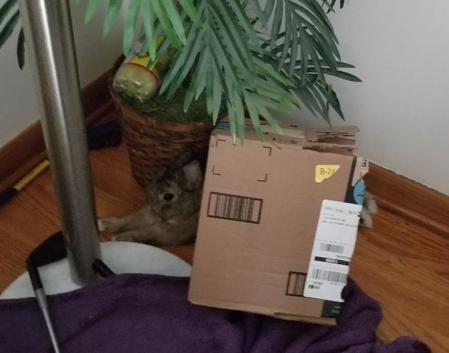 What even | Scrolller