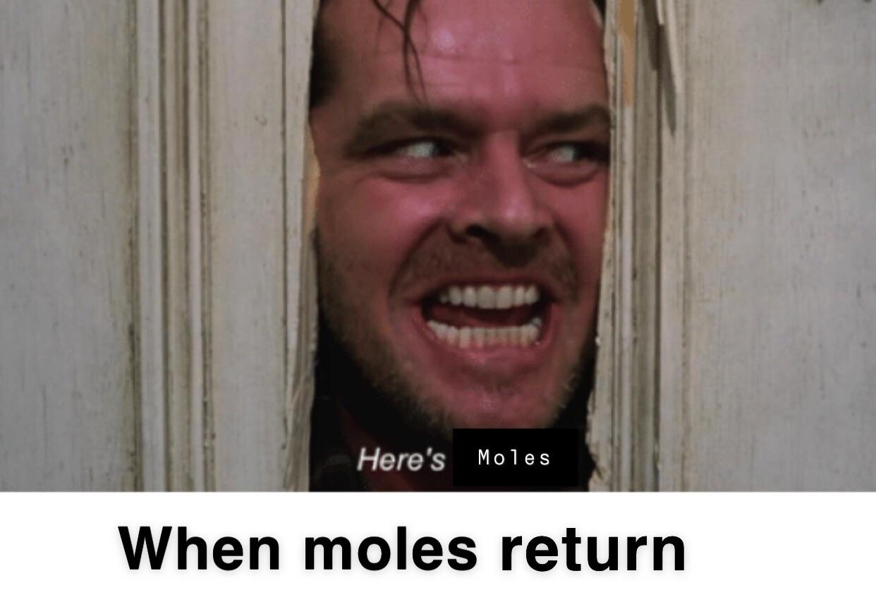 What goes with moles? | Scrolller