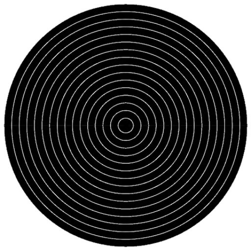 What happens when full circles rotate at different speeds [x-post r/funny] | Scrolller