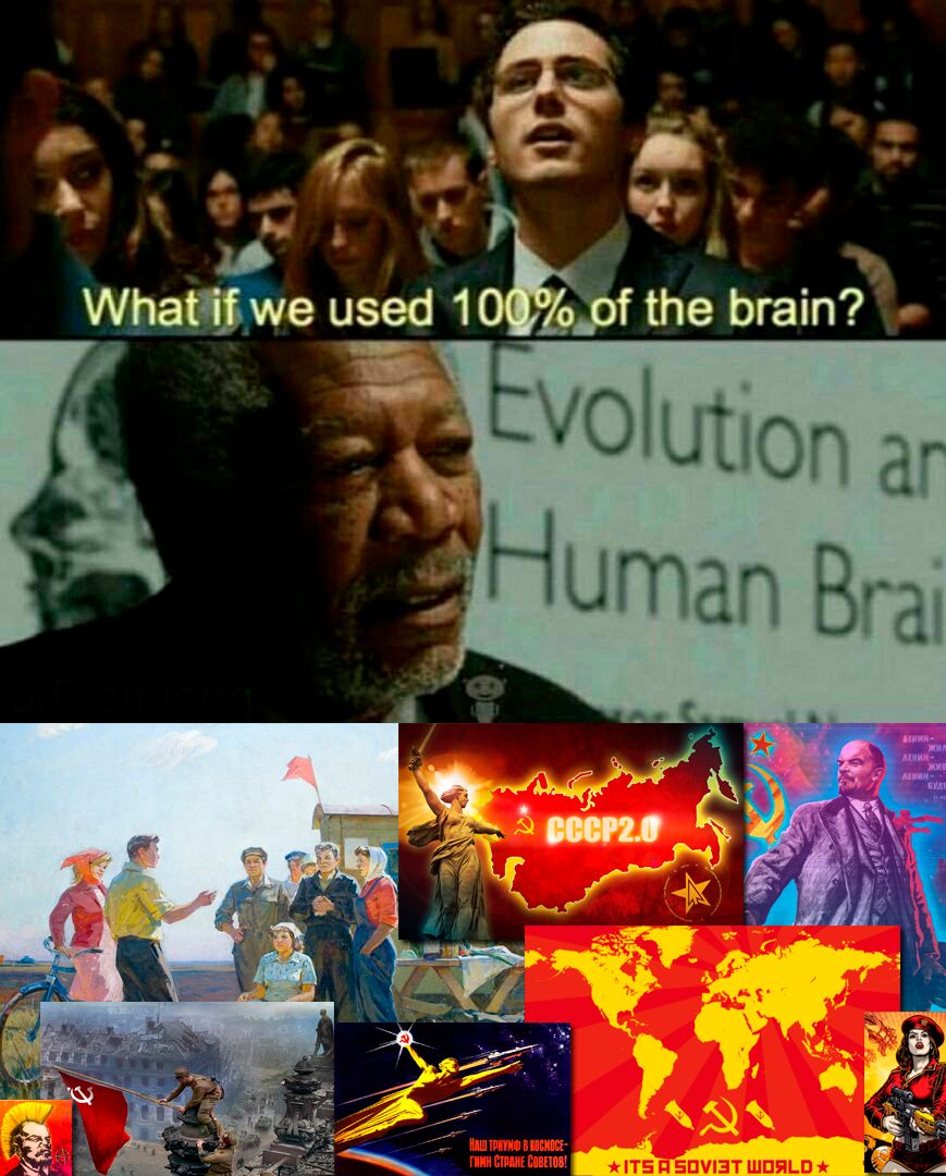 What if we used 100% of the brain | Scrolller