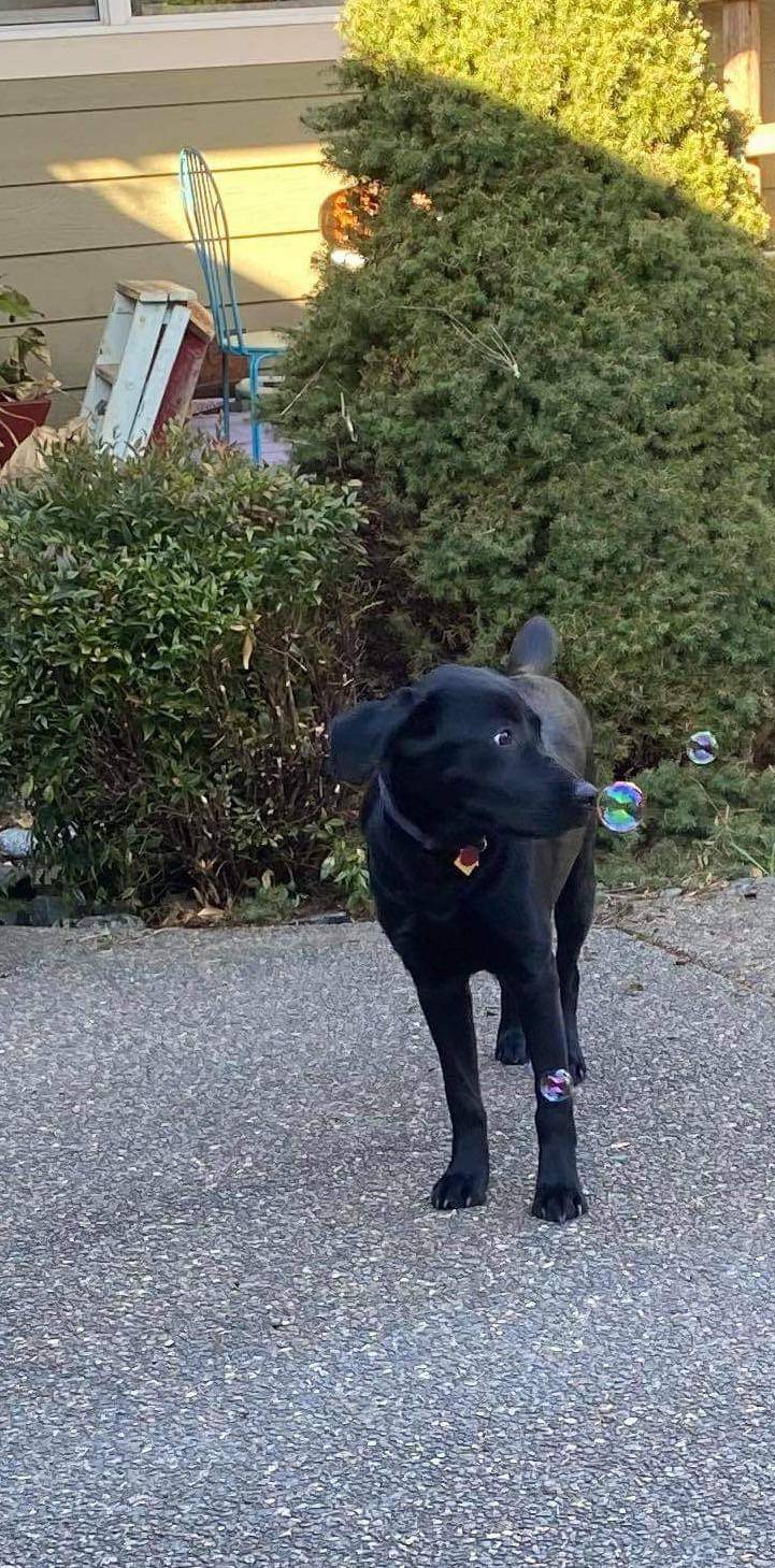 What is this magic! | Scrolller