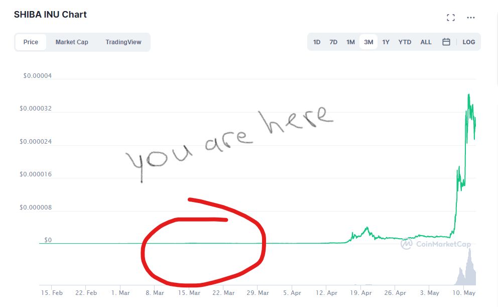 What Kishu Inu could look like if we just HODL | Scrolller