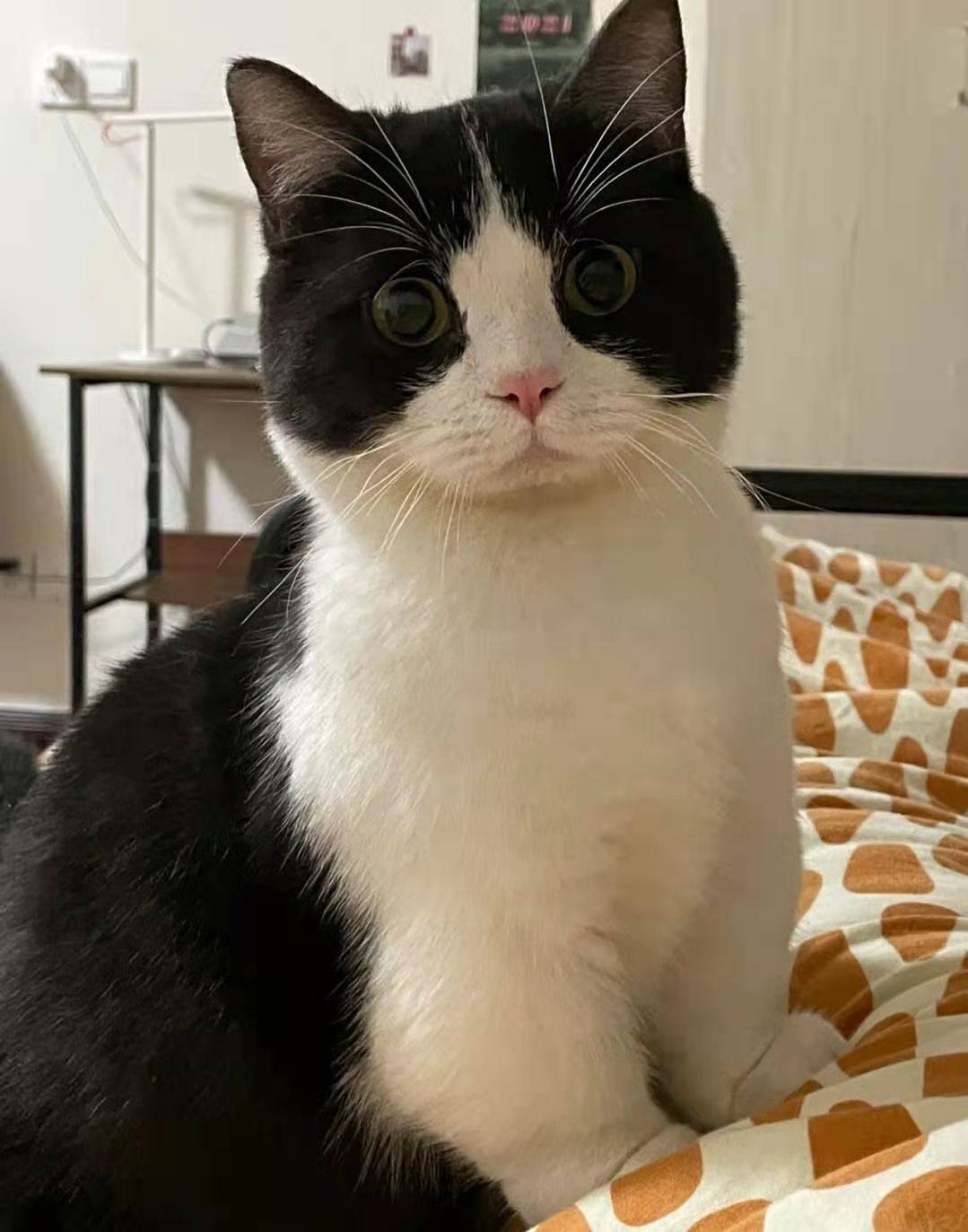 What makes you show this expression | Scrolller