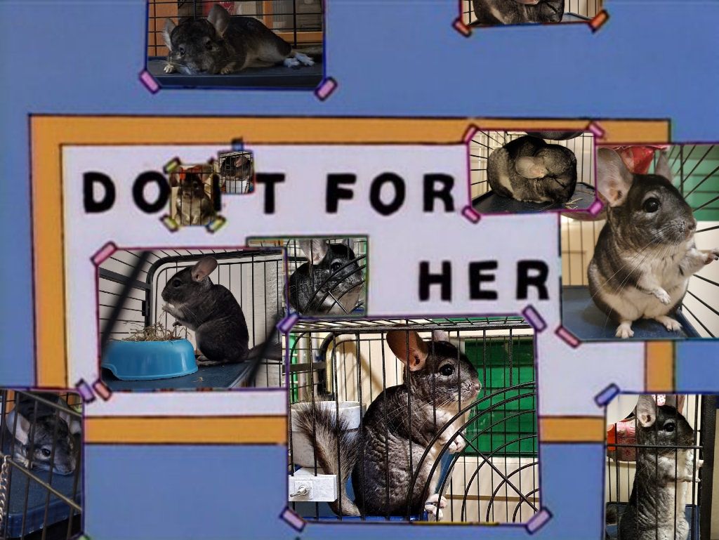 What my boyfriend sends me during my night shift | Scrolller