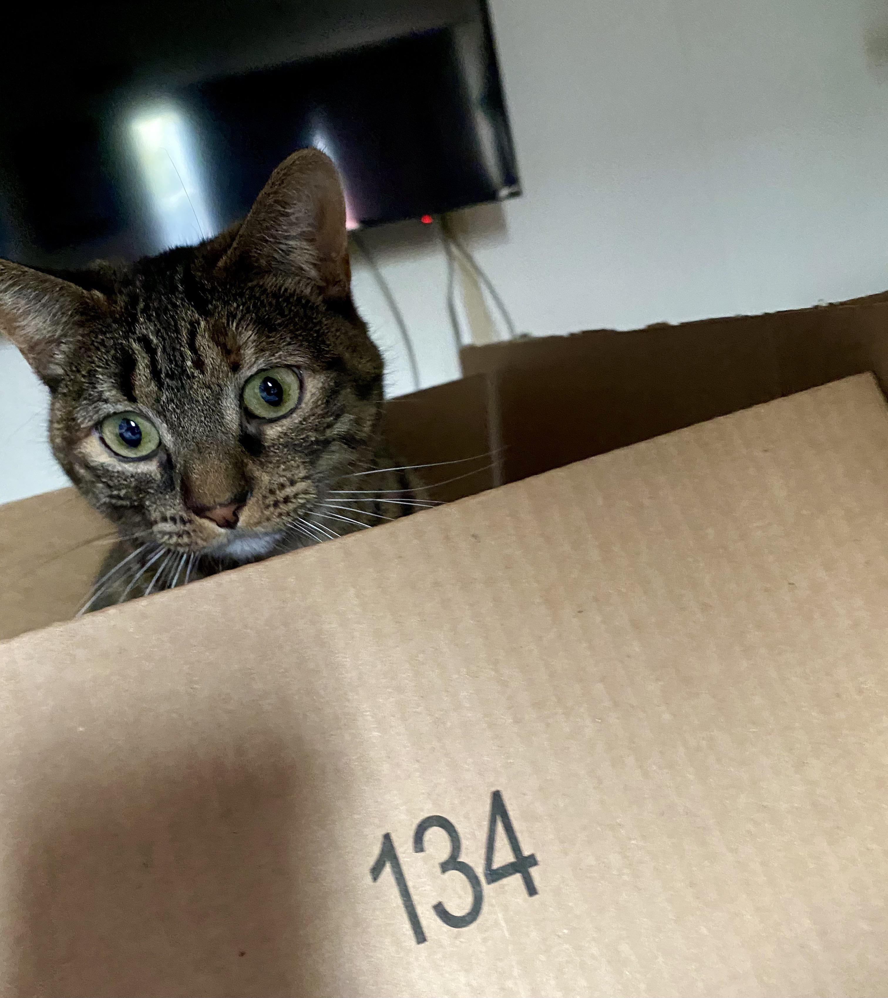 WHAT’S in the box?! | Scrolller