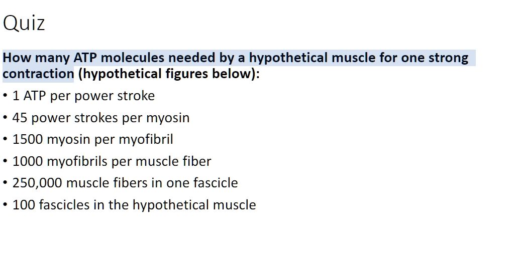 what should we do in order to achieve the right answer? these are all ...