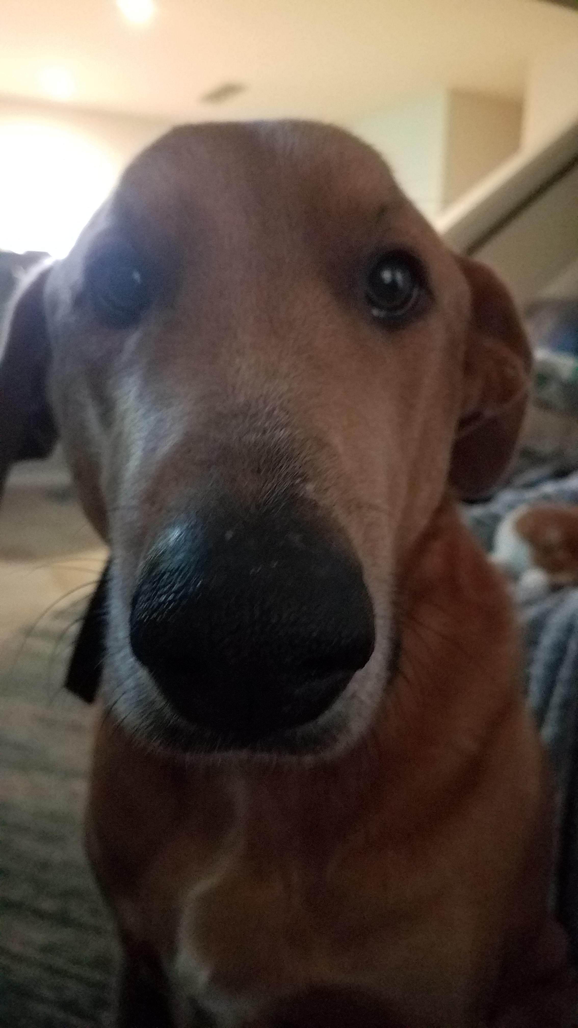 Whatcha doing? | Scrolller