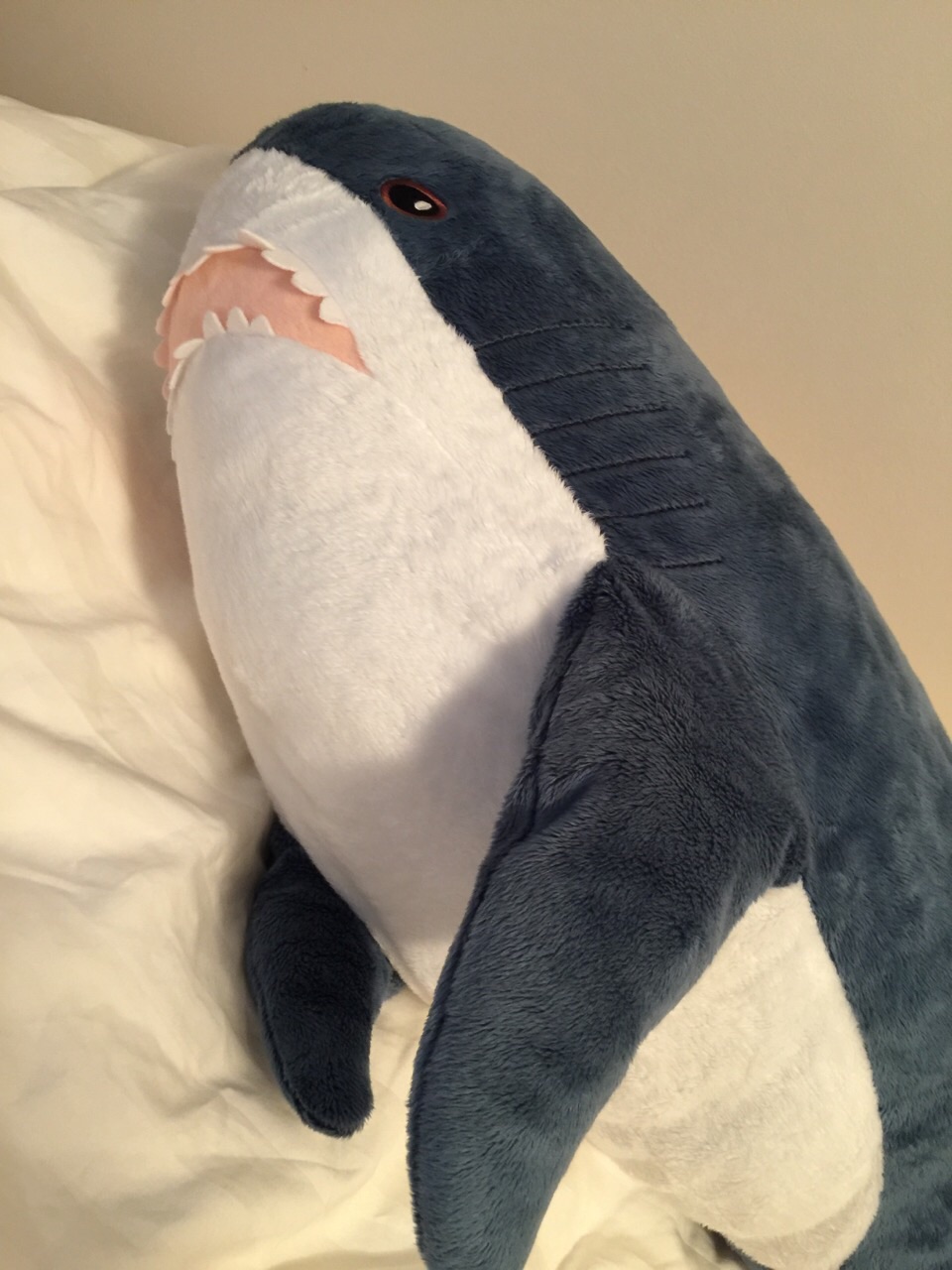 Whatever | Scrolller