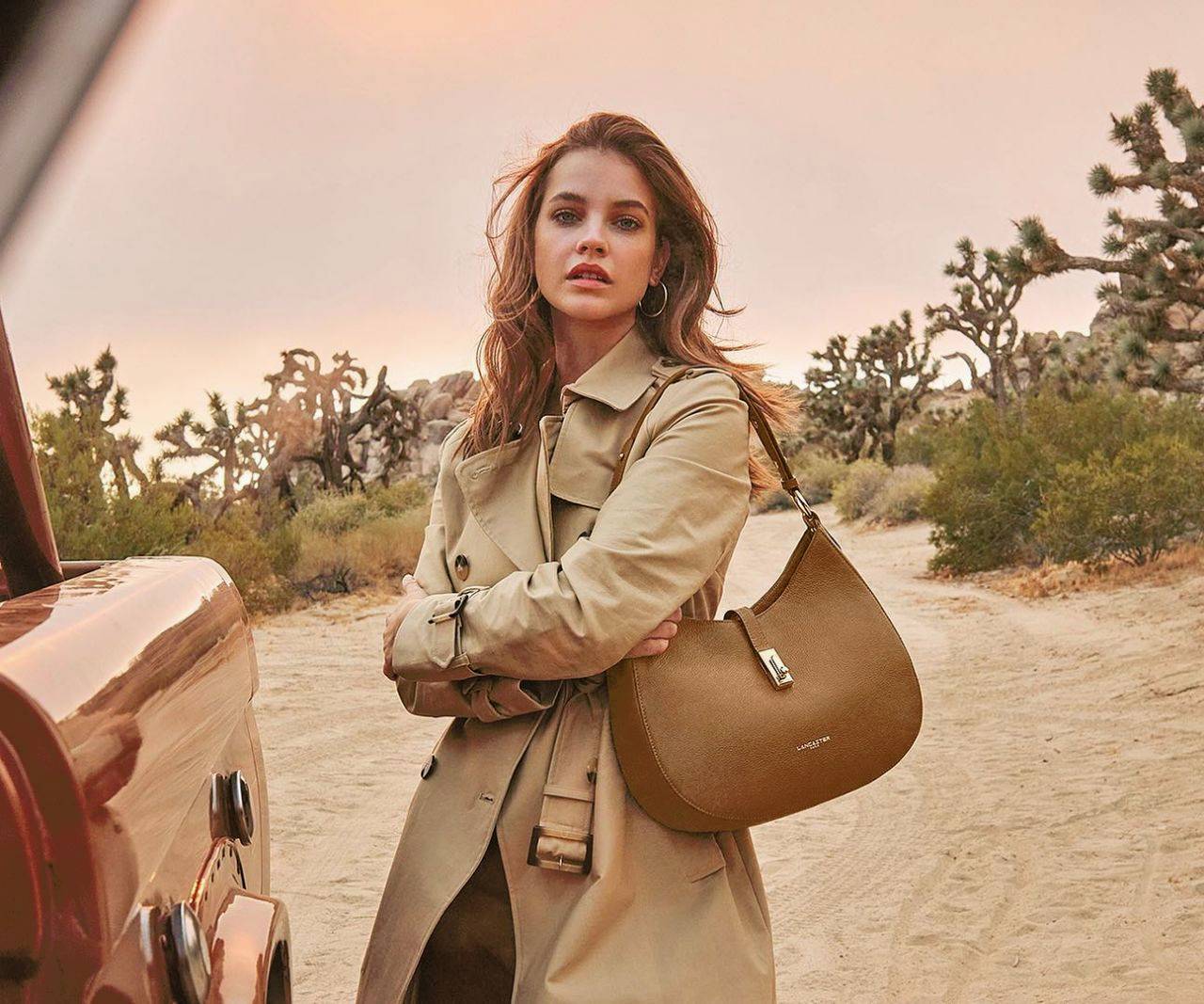 What's in the bag? | Scrolller