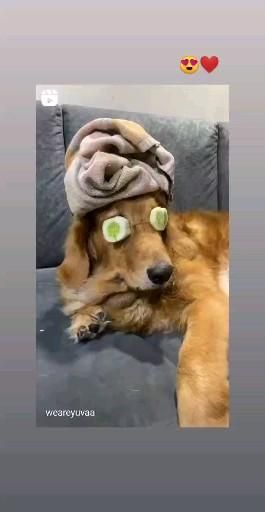 When pampering day comes. | Scrolller