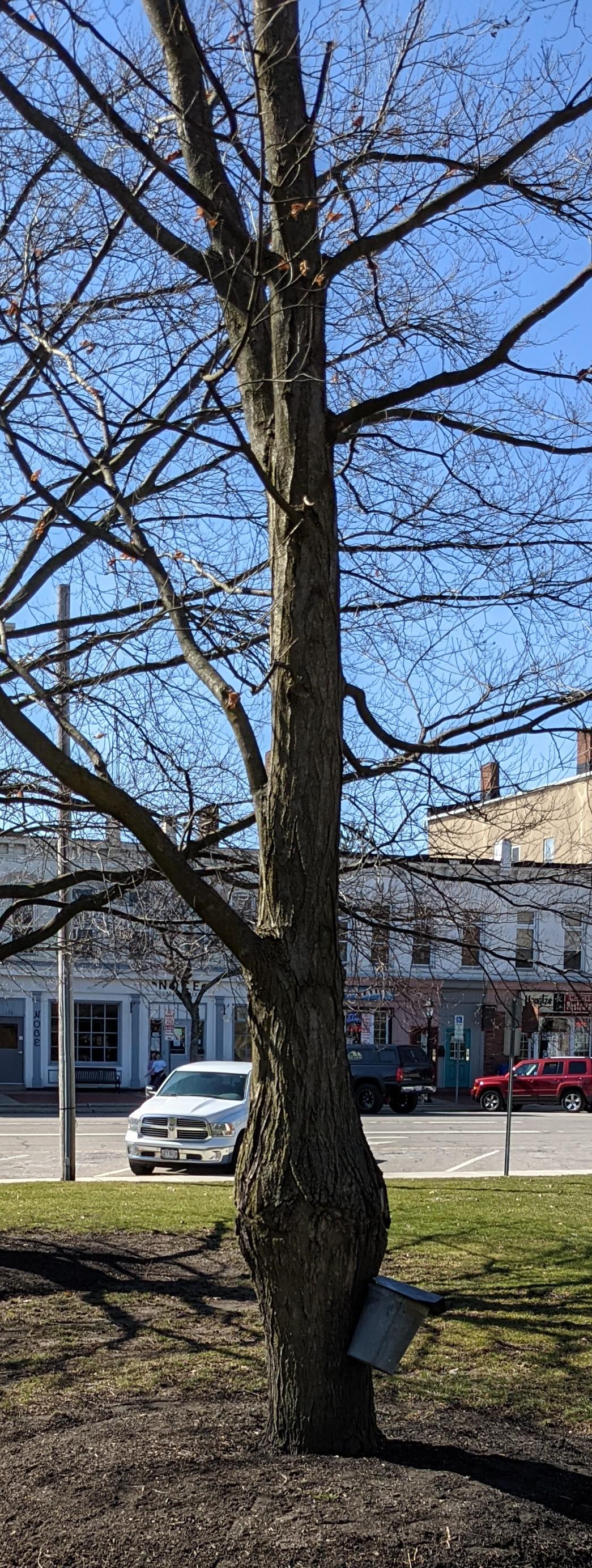 When Pixar draws a mom tree | Scrolller