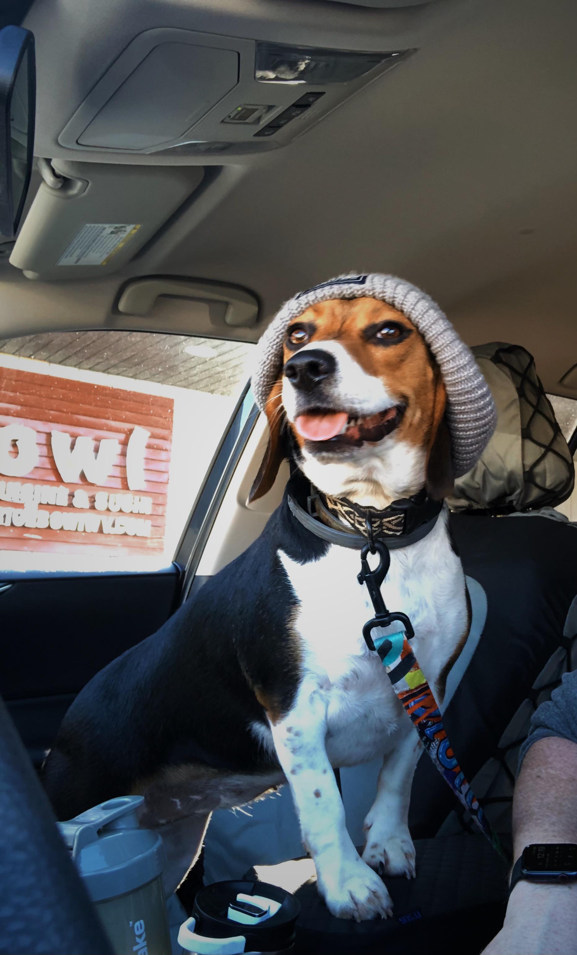 When the scent hits | Scrolller