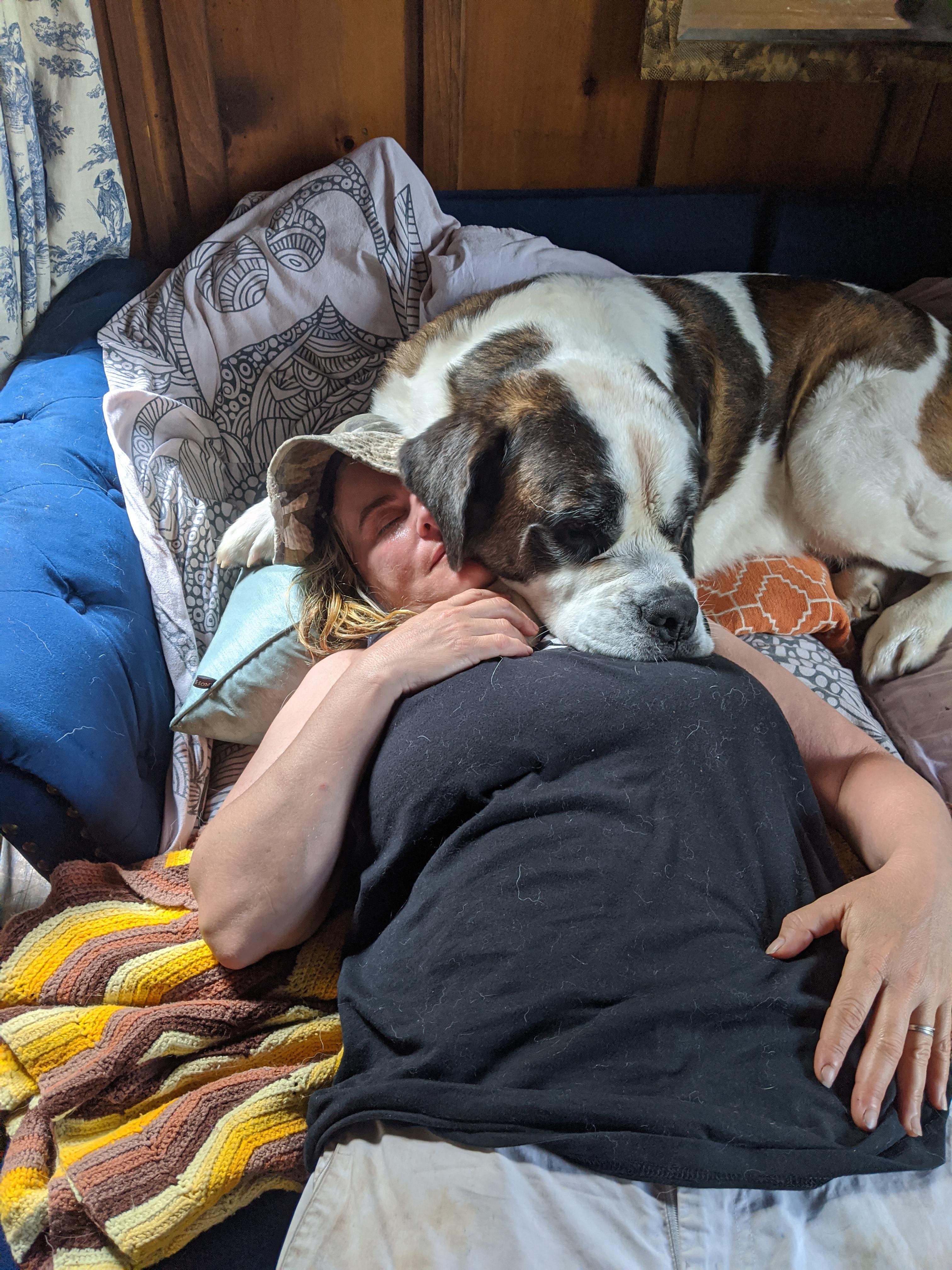 When the teddy bear hugs you. | Scrolller