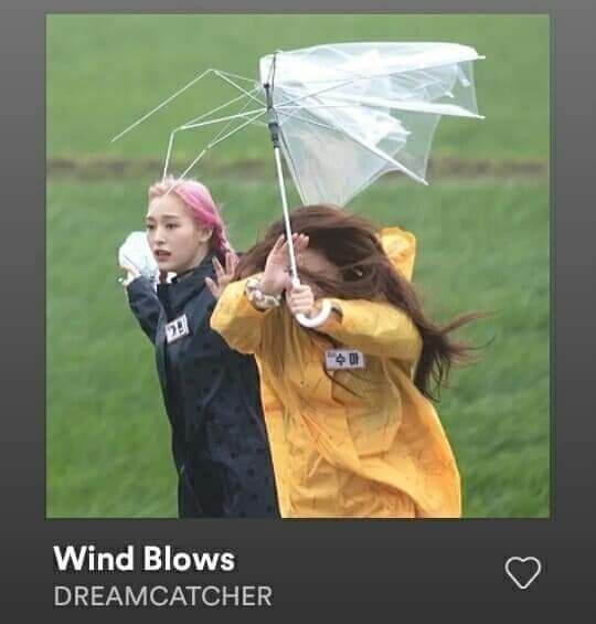 When the wind really blows | Scrolller