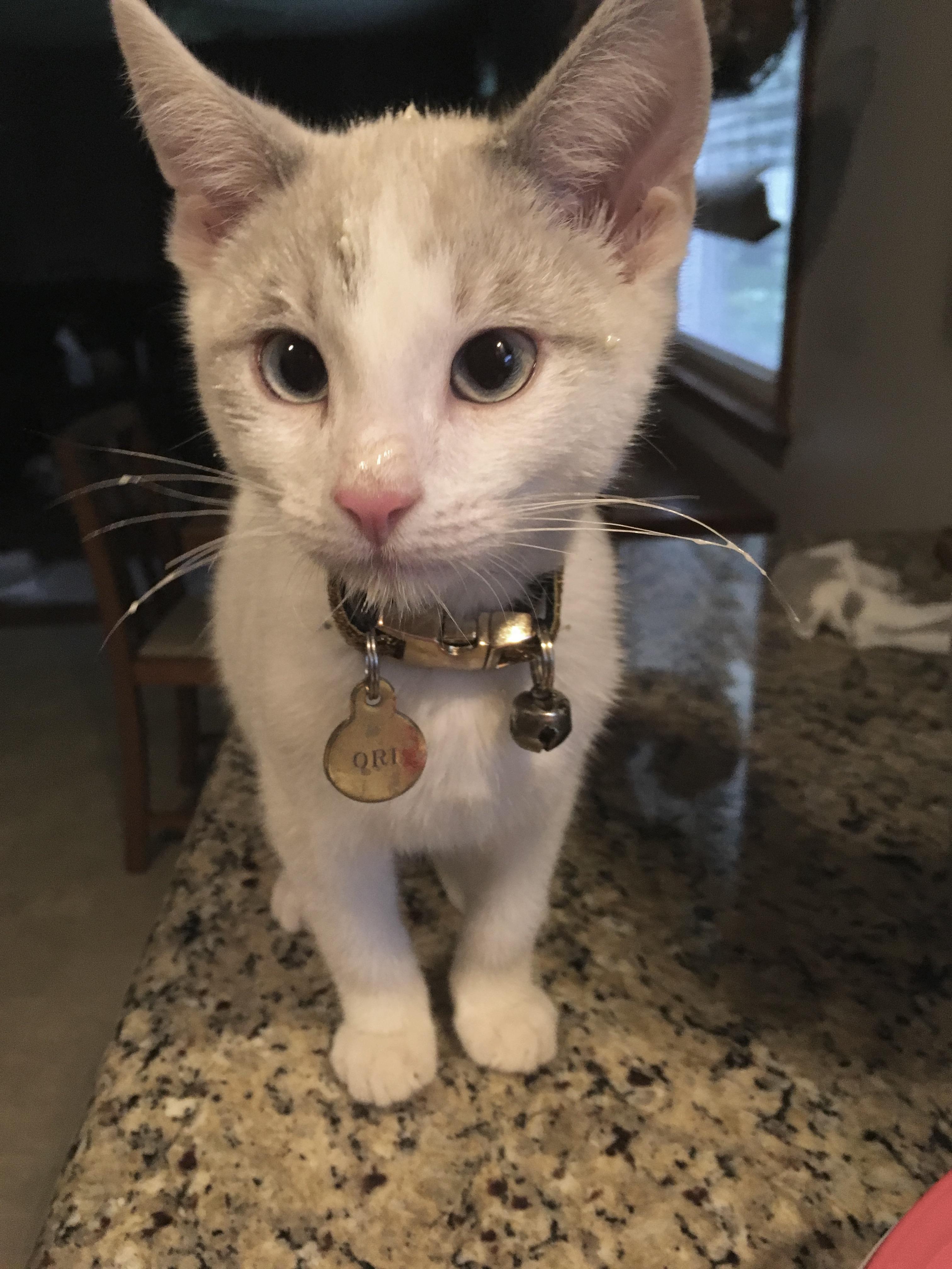 When we accidentally left the butter out... | Scrolller