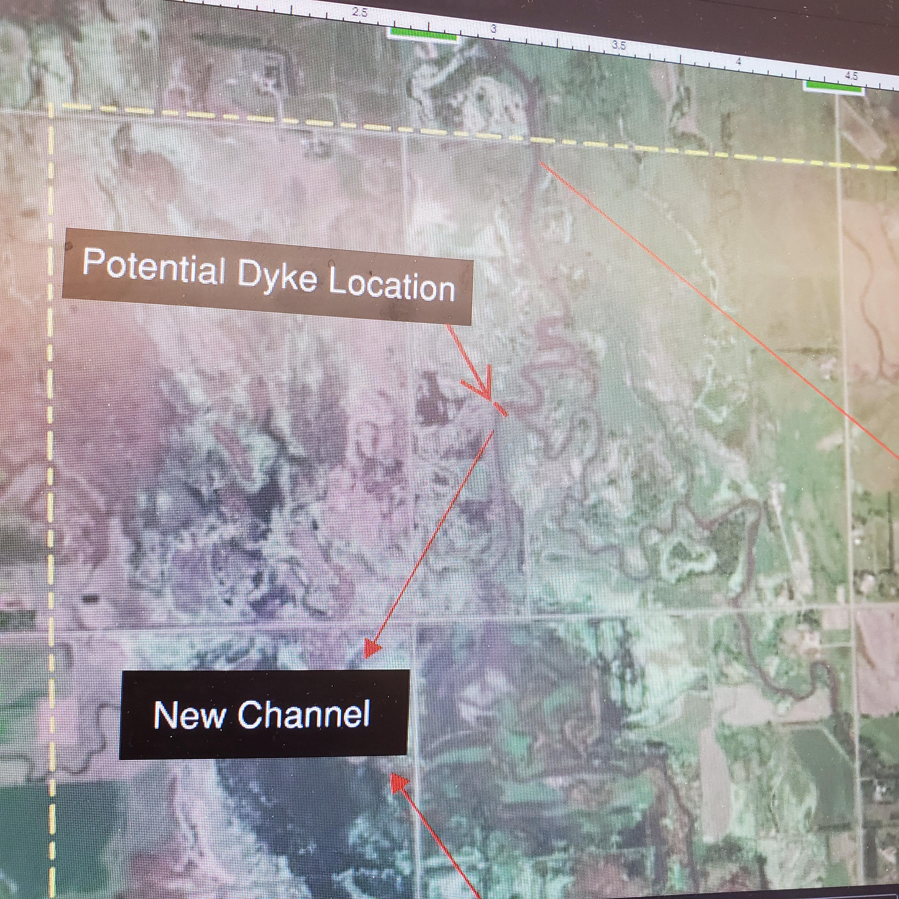 When you’re trying to find wild lesbians | Scrolller