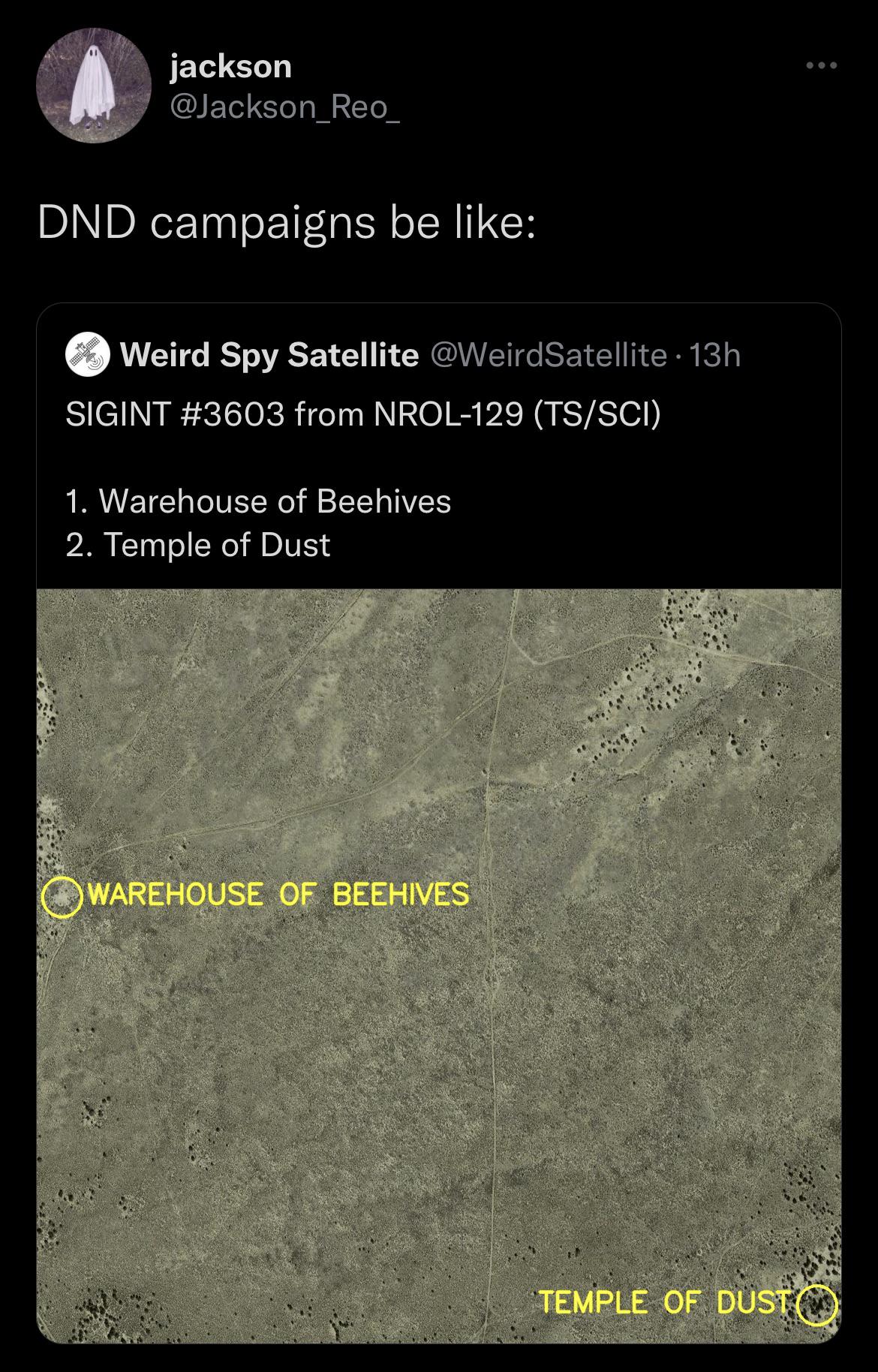 when you try to start the campaign seriously and it starts to get weird | Scrolller
