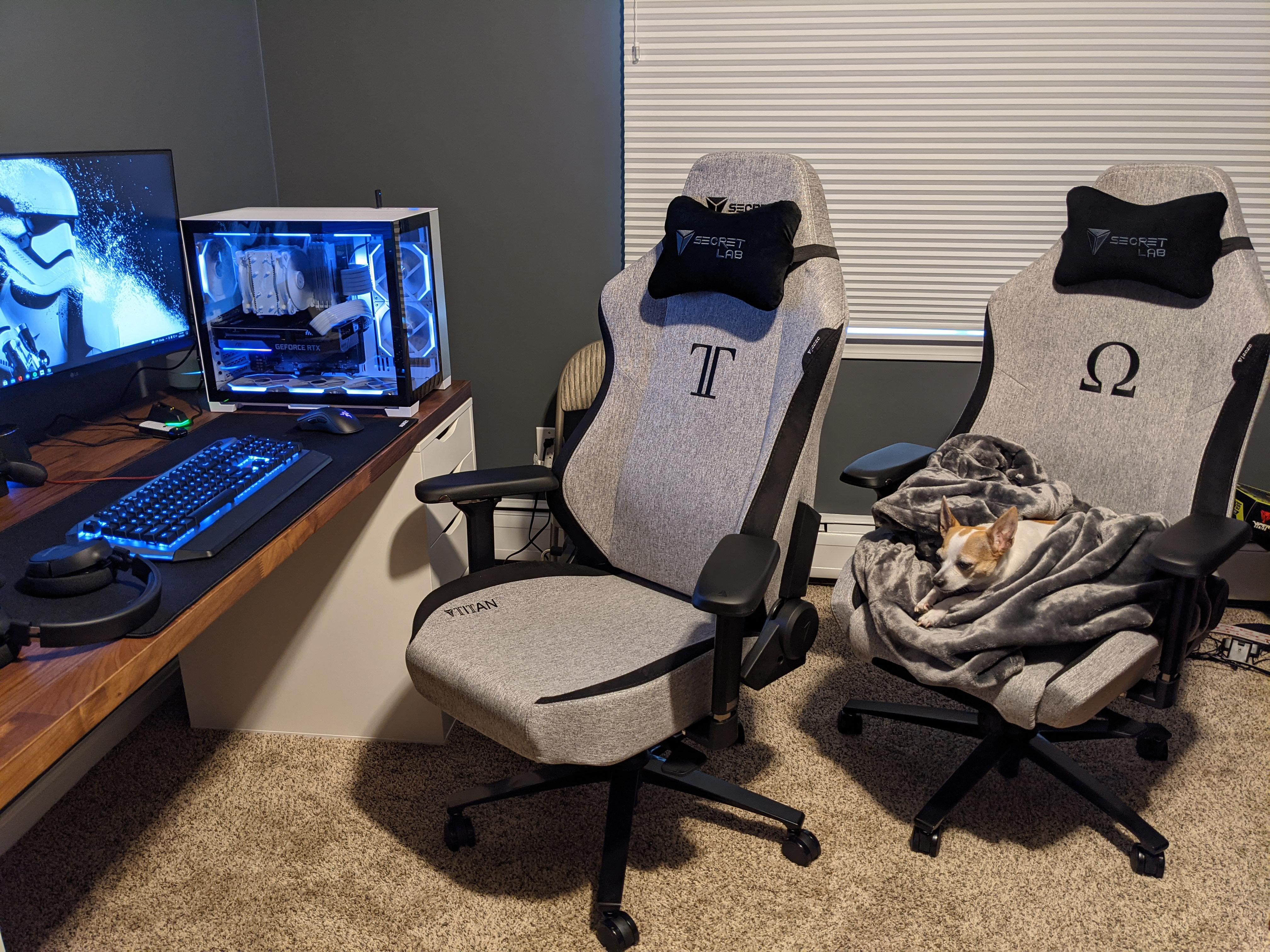 When your copilot needs to be just as comfy as you | Scrolller