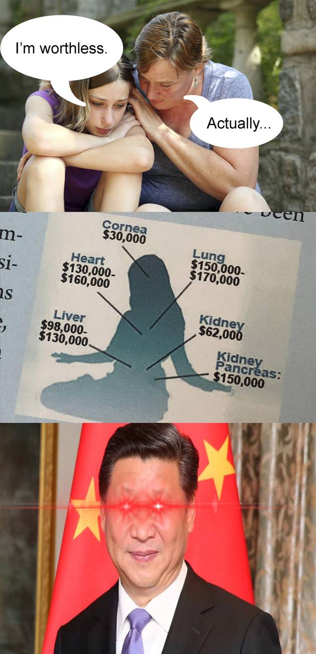 Where did the Uyghurs go, Pooh Bear? | Scrolller