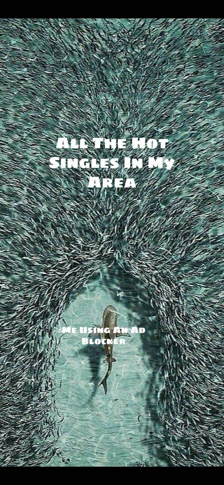 Where do they go though | Scrolller