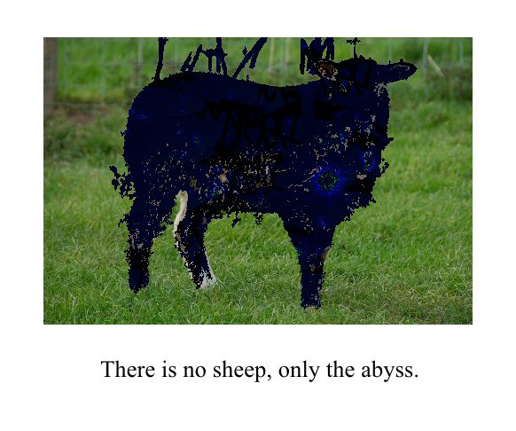 Where is the sheep? | Scrolller