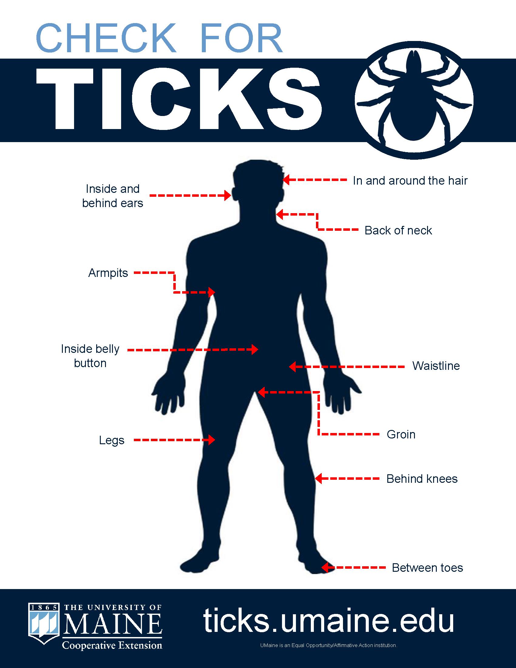 Where to check for ticks | Scrolller