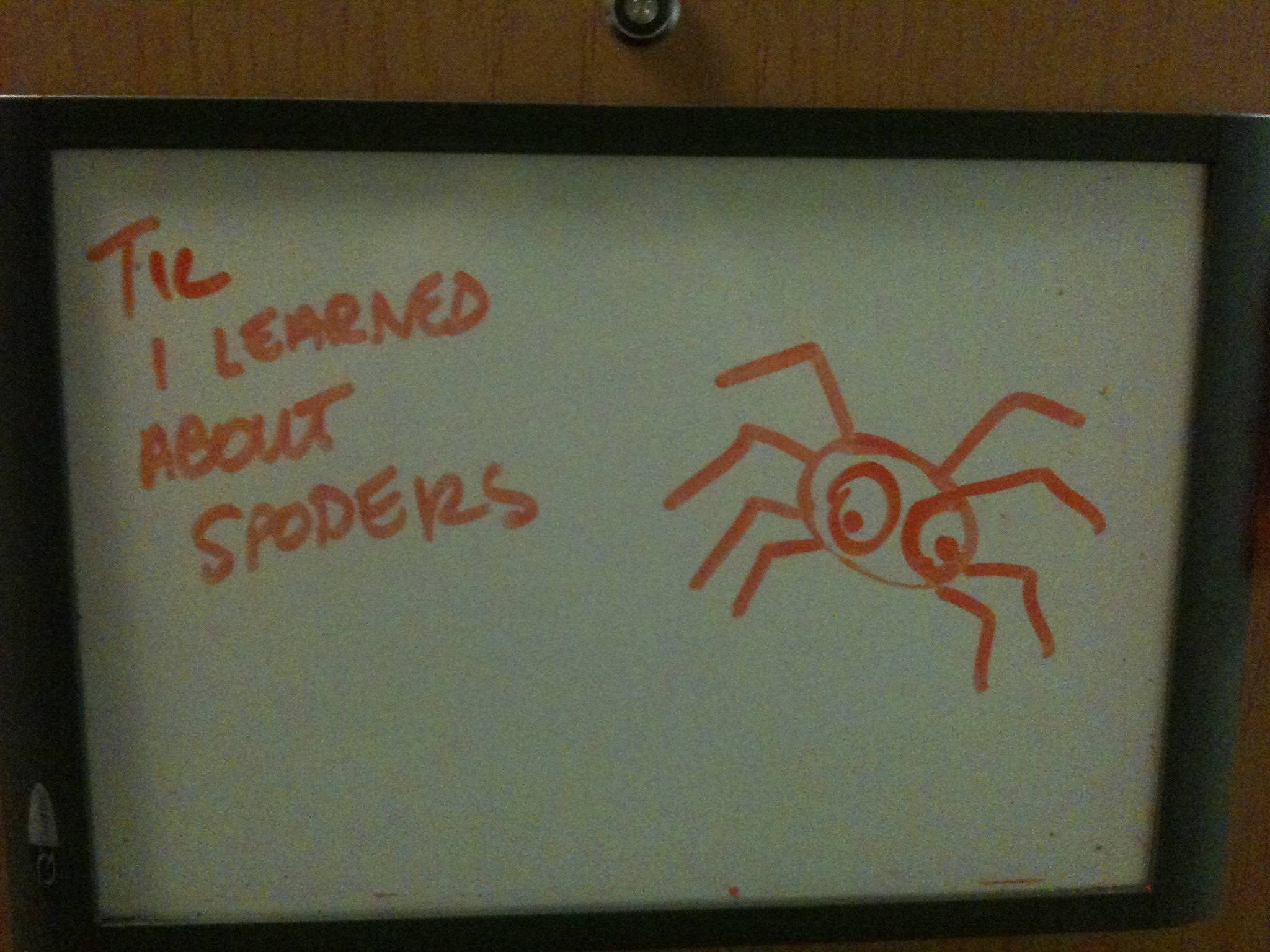 whiteboard spoder | Scrolller