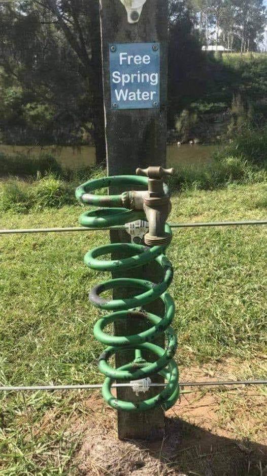 Who committed this crime? | Scrolller