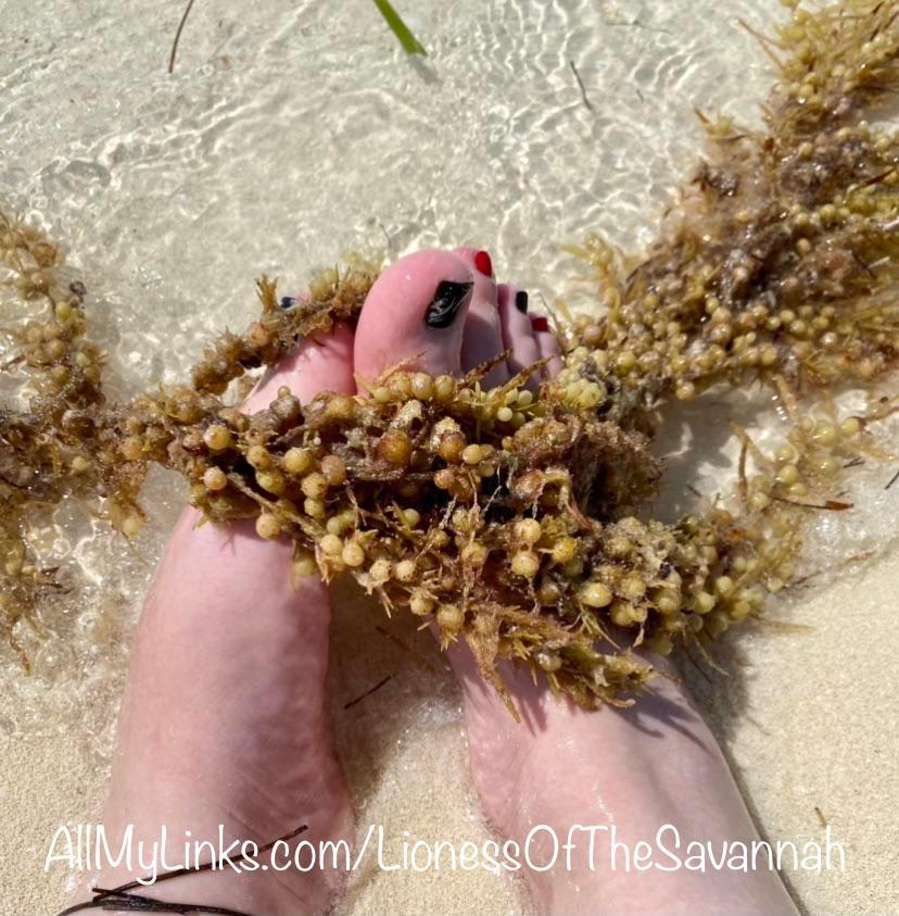 Who Wants To See My Feet Play In The Water On The Beach 🌊☀️🏝 Dm Me 😋