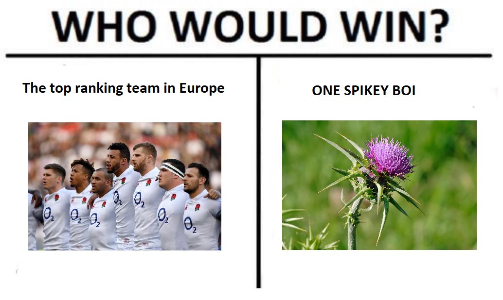 Who would win? | Scrolller