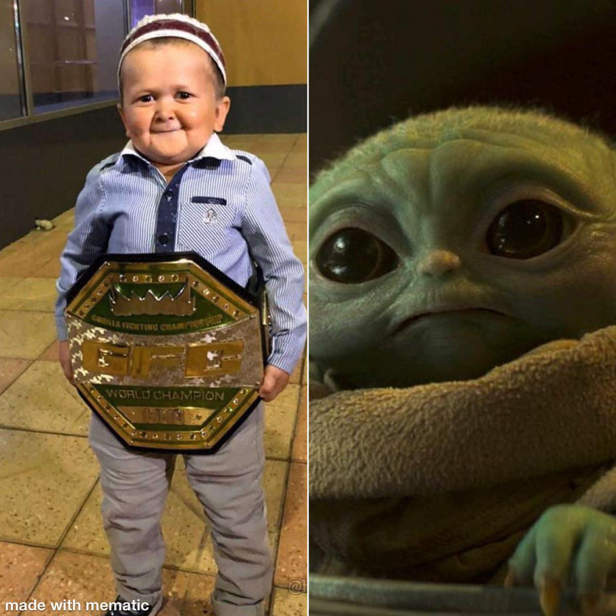 Who would win in a scrap? | Scrolller