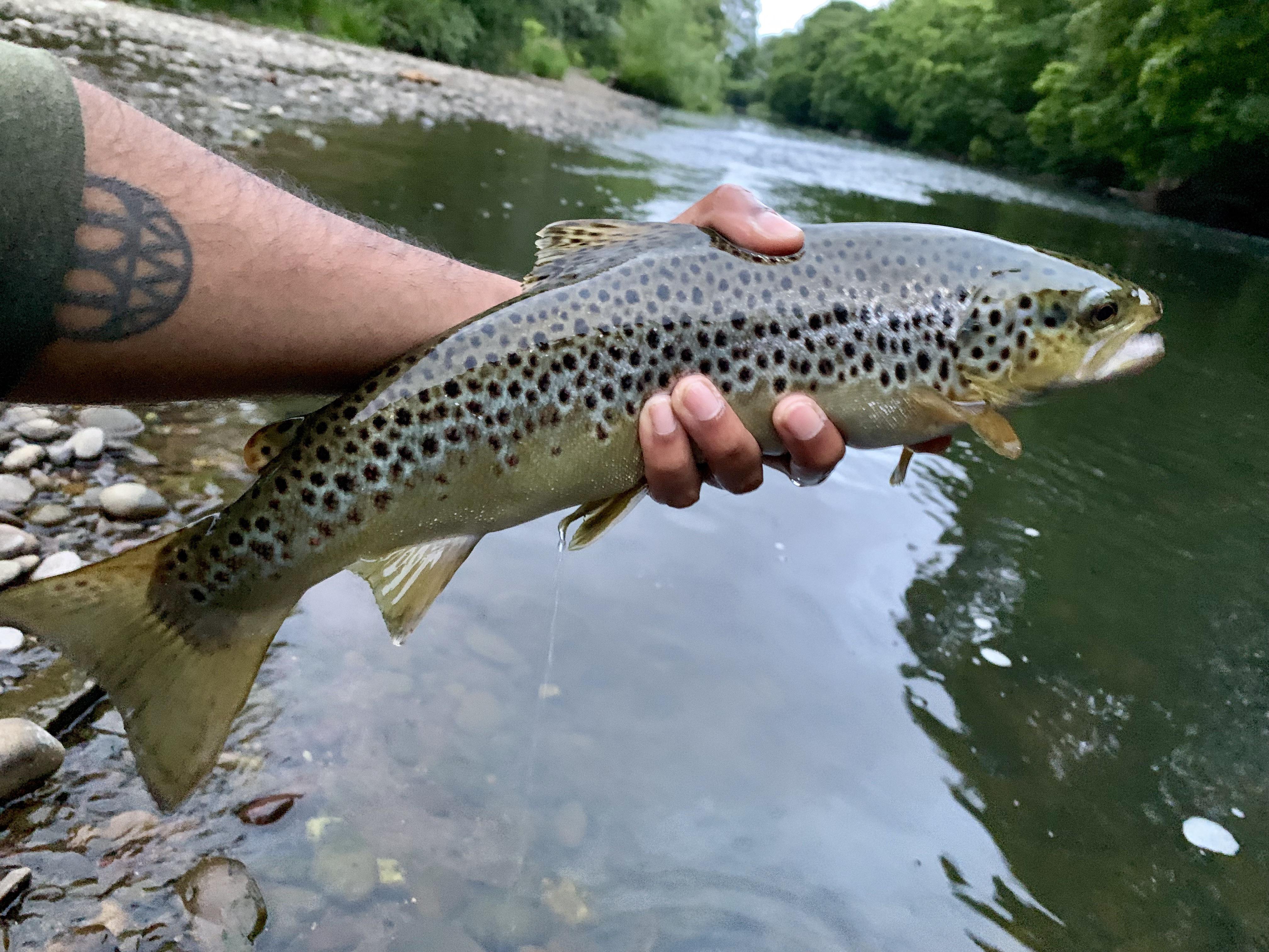 WHOS A BIG BOI | Scrolller