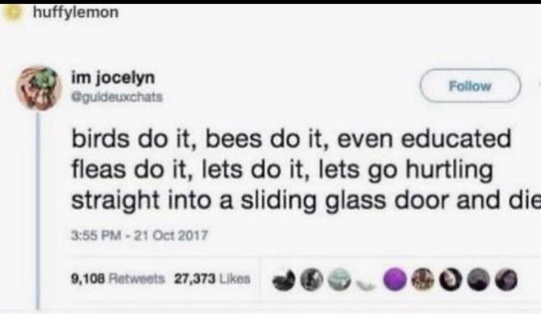 whos in? | Scrolller