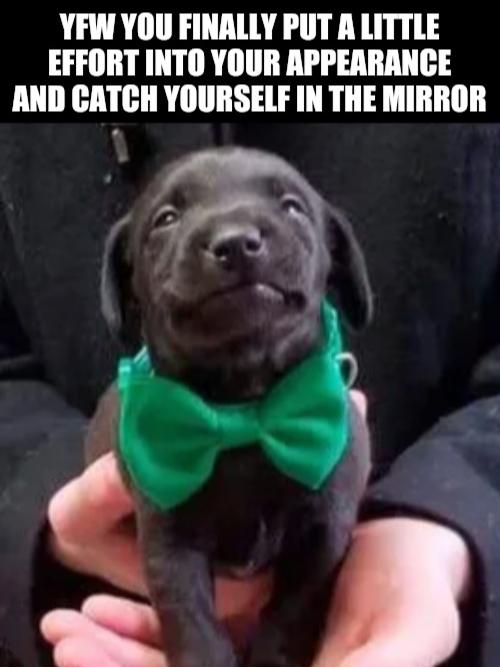 Who's that handsome guy?? | Scrolller