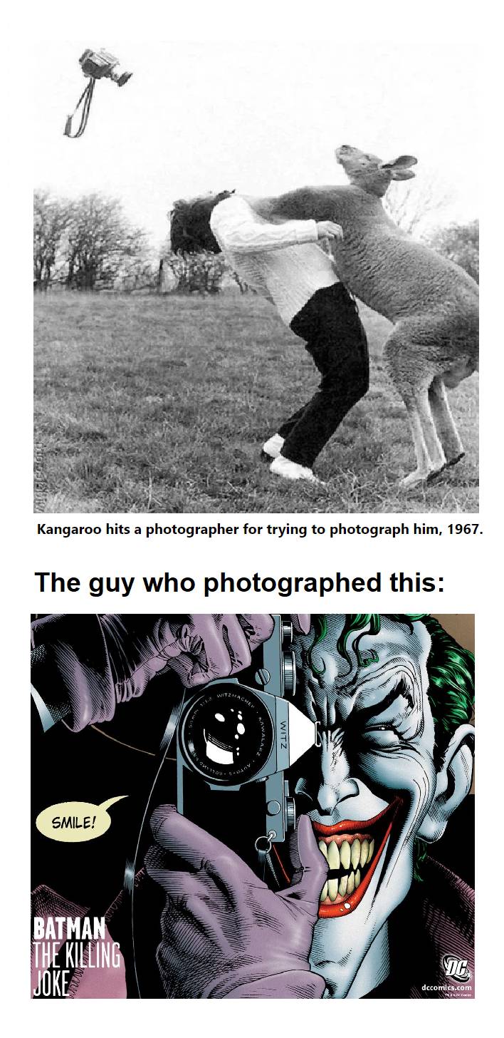 Why did you slap? | Scrolller