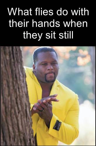 Why do they so that? | Scrolller