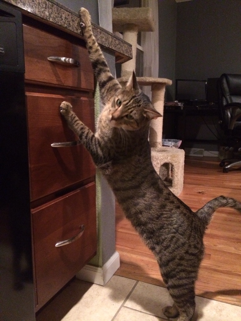 Why... Hello | Scrolller