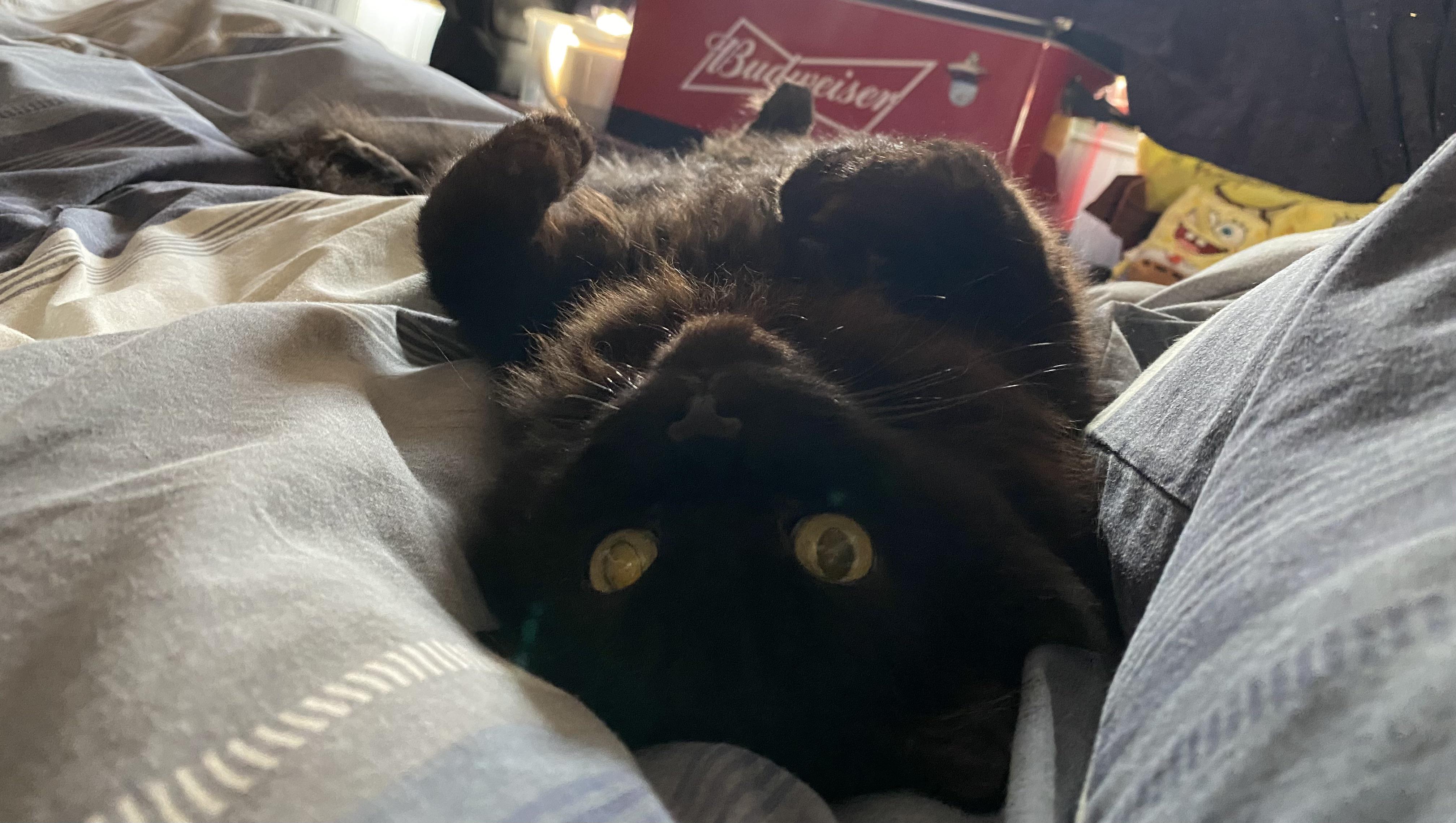 Why hello there ;) | Scrolller