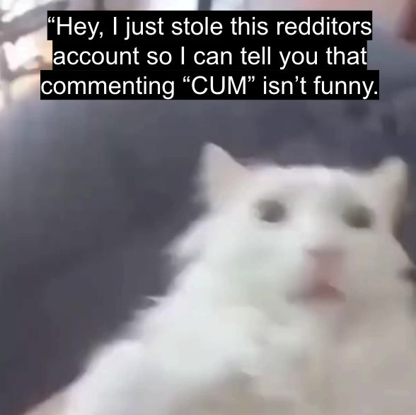 why, just why | Scrolller