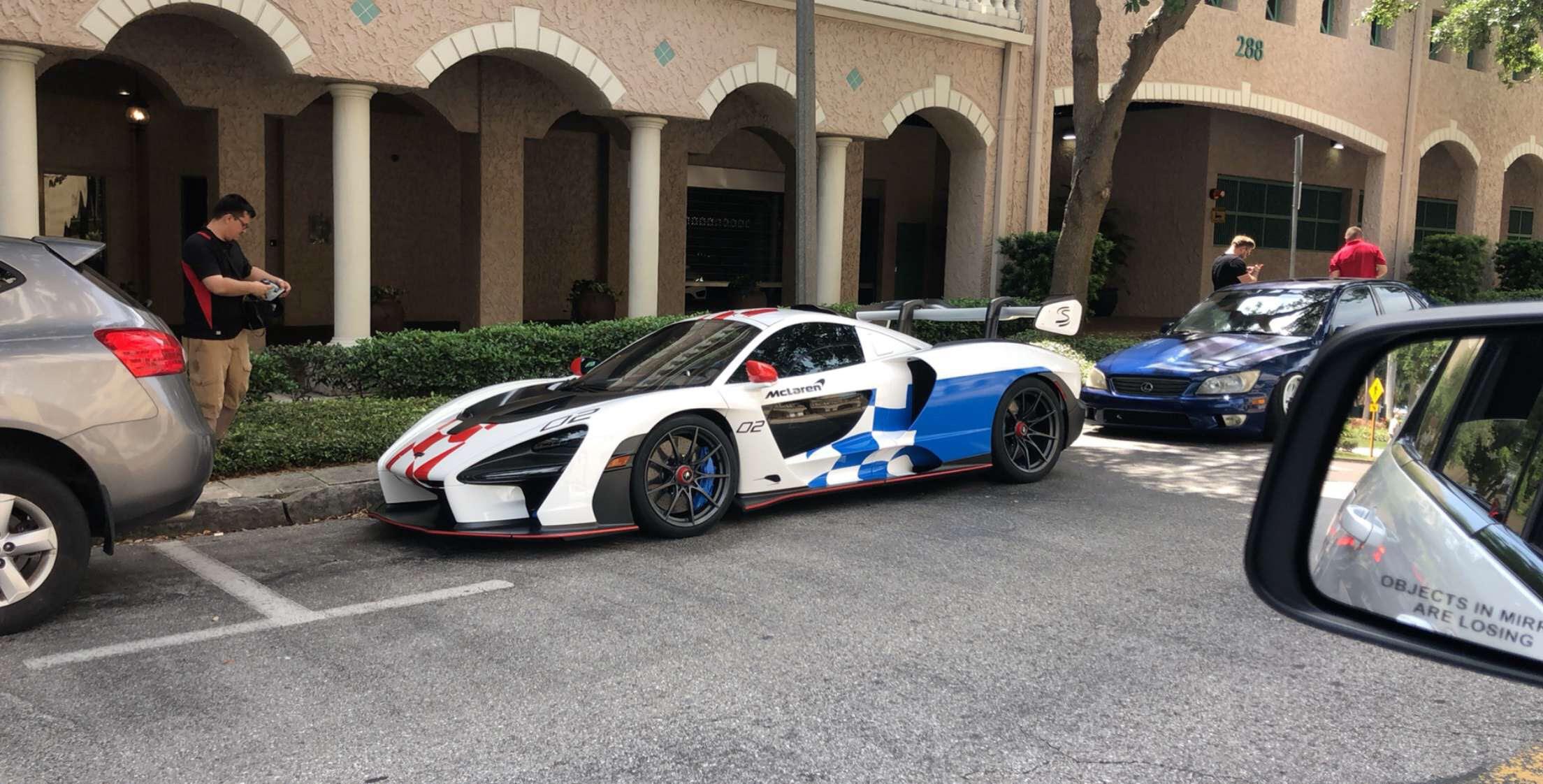 Wild Senna St. Pete FL | Scrolller