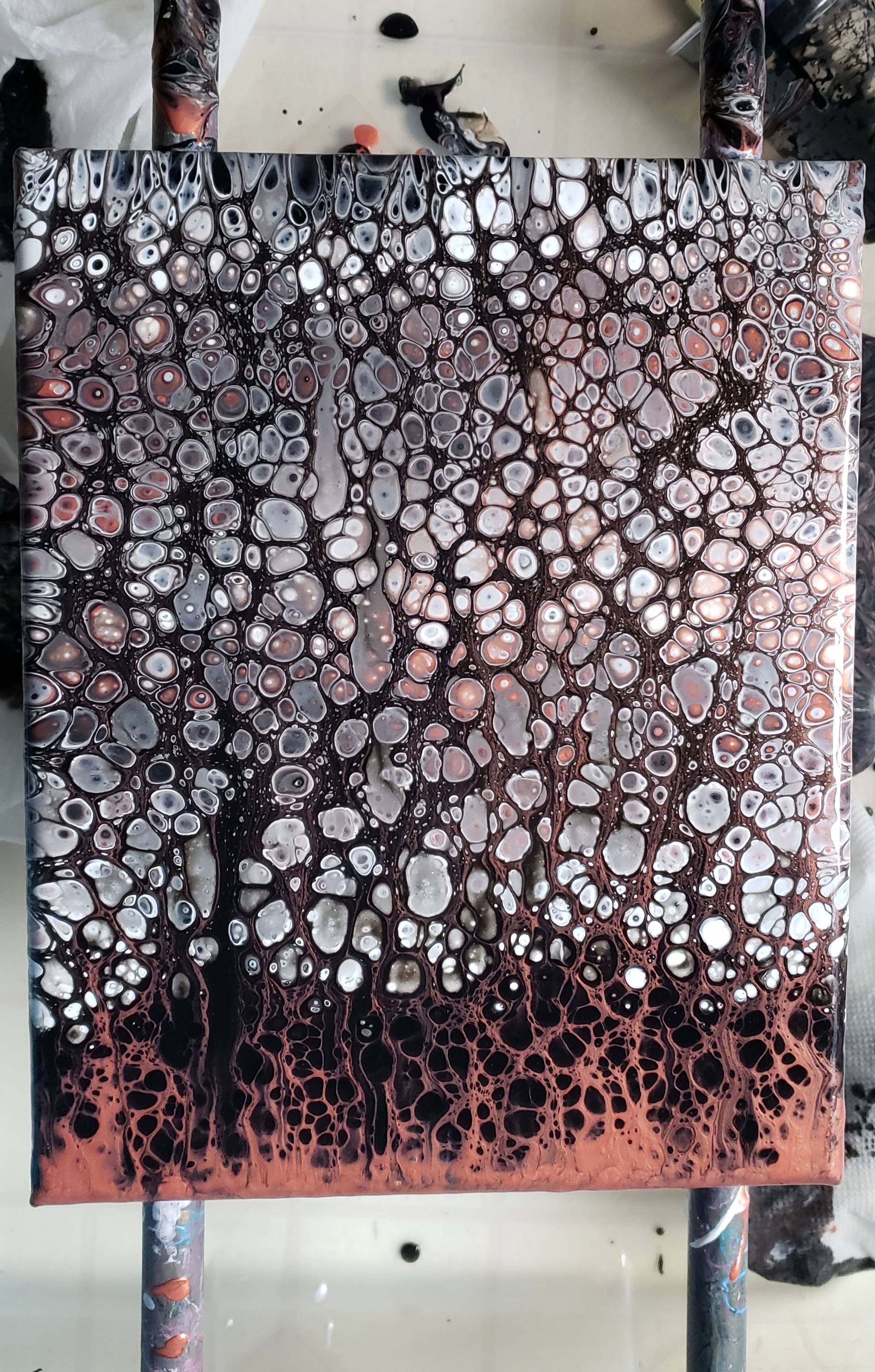 "Wildfire" | Scrolller